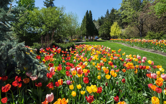 Spring garden tour in Kalispell – Montana Living