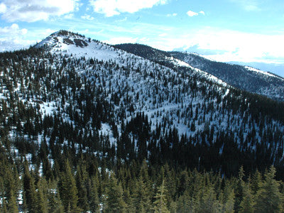 Haskill Basin conservation easement completed near Whitefish – Montana ...