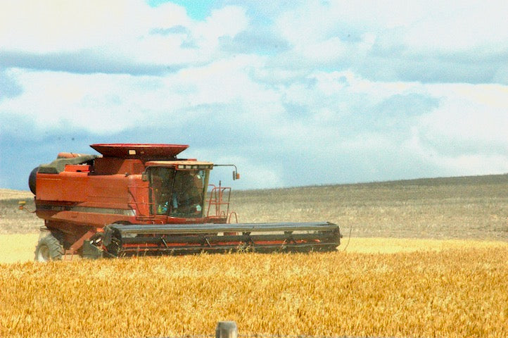Montana farmers address rising fertilizer costs – Montana Living
